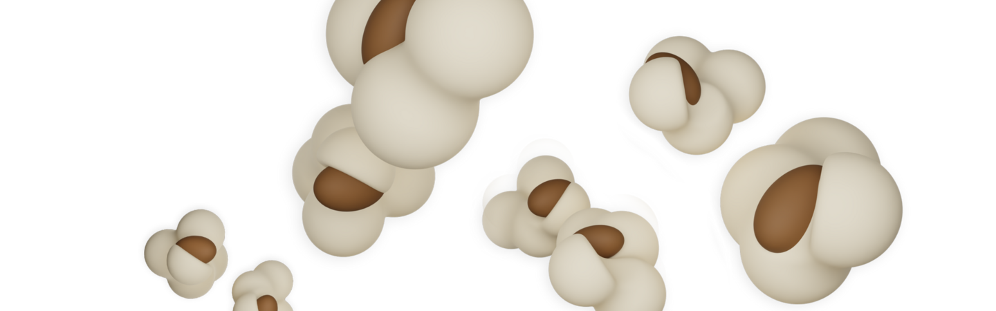 HSG SQUARE │ The future of learning